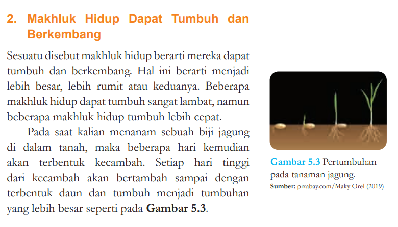 Rangkuman Materi ipa kelas 7 Bab 5 Kurikulum Merdeka plus modul ajar Rangkuman Materi ipa kelas 7 Bab 5 Kurikulum Merdeka plus modul ajar
